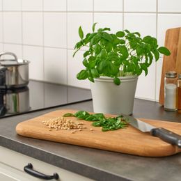 IKEA K&Ouml;RSB&Auml;RSBJ&Ouml;RK &Uuml;bertopf