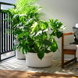 IKEA M&Aring;B&Auml;RSBUSKE Blumentopf