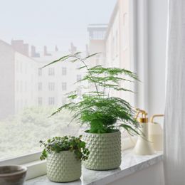 IKEA GLACI&Auml;RBJ&Ouml;RN &Uuml;bertopf