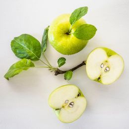 IKEA L&Ouml;VSKOGSLUND Teelicht, duftend