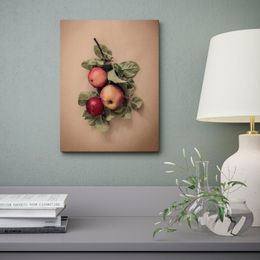 IKEA PJ&Auml;TTERYD Bild