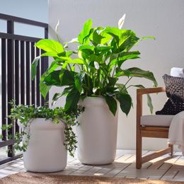 IKEA M&Aring;B&Auml;RSBUSKE Blumentopf