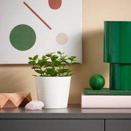 IKEA FEJKA Topfpflanze, k&uuml;nstlich