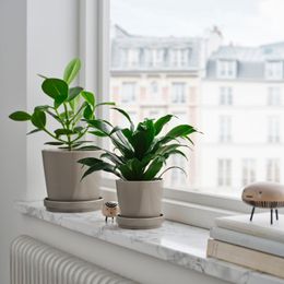 IKEA KLOTL&Ouml;NN Blumentopf mit Untersetzer