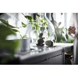 IKEA GRILLSK&Auml;R K&uuml;cheninsel/Regal