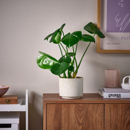 IKEA SANDK&Ouml;RSB&Auml;R &Uuml;bertopf