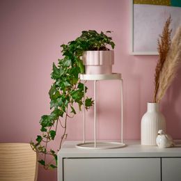 IKEA L&Aring;NGN&Auml;BB Blumenst&auml;nder