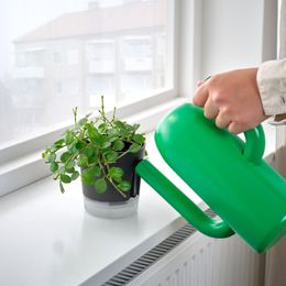 IKEA V&Aring;RDTR&Auml;D Selbstbew&auml;sserungstopf
