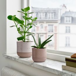IKEA BUSKKAPRIFOL &Uuml;bertopf