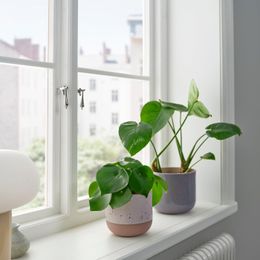 IKEA BUSKKAPRIFOL &Uuml;bertopf