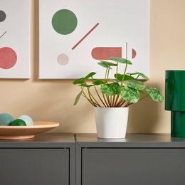 IKEA FEJKA Topfpflanze, k&uuml;nstlich