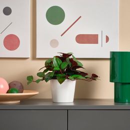 IKEA FEJKA Topfpflanze, k&uuml;nstlich