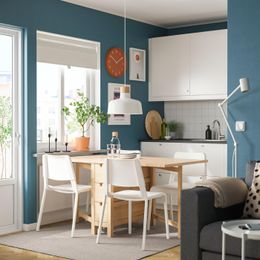 IKEA NORDEN / TEODORES Tisch und 4 St&uuml;hle