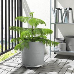 IKEA NYPON &Uuml;bertopf