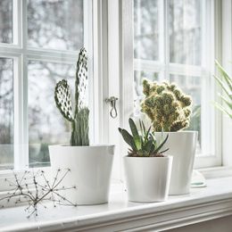 IKEA SOJAB&Ouml;NA &Uuml;bertopf