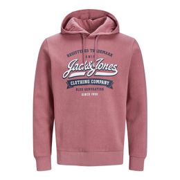 Jack & Jones Jack & Jones Hoodie Logo2 Col Kapuzensweatshirt