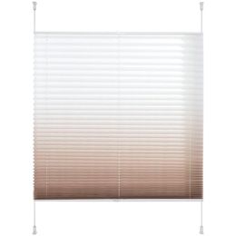 Liedeco Plissee &raquo;Farbverlauf&laquo; Lichtschutz ohne Bohren verspannt braun Obermaterial: 100% Polyester 130cm, zweiseitig verschiebbar, 40cm