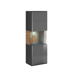 VITRINE Jules Grau und Holz