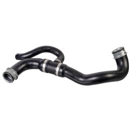 febi bilstein K&uuml;hlerschlauch 179482 unten f&uuml;r Mercedes