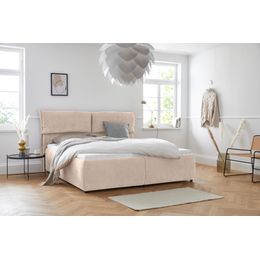 Polsterbett OTTO HOME "Jenson", beige, B:208cm L:225cm, Struktur weich (85% Polyester/15% Nylon), Betten, Polsterbett, als Bettgestell oder mit 3 Matratzenarten und H&auml;rtegraden