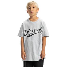 T-Shirt DC Shoes "Substitute", Jungen, Gr. 10(140-148cm), grau (light erdgrau), Obermaterial: 75% Walkfrottier, 25% Walkfrottier;, Shirts T-Shirt