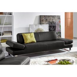 2-Sitzer W.Schillig "taboo Designsofa mit hohem Sitzkomfort, Breite 202cm, Sitztiefe 59cm", grau (anthrazit z69), B:202cm H:76cm T:91cm, Flachgewebe S22 (100% Polyester);Stoff S37 (100% Polyester): Luxus-Microfaser in Lederoptik;Longlife Xtra-Leder Z59: Glattleder mit modischer Pr&auml;gung. Hautst&auml;rke 0, 9 - 1, 1 mm;Longlife Xtra-Leder Z69: Das feinnarbige, gedeckte Softleder Z69 besticht durch seine 
