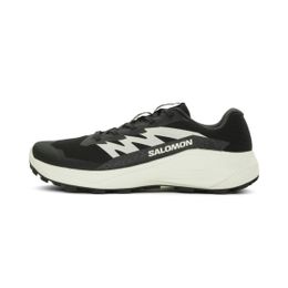 Salomon Alphaglide Herren