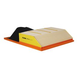 FILTRON Luftfilter ap0851 Filtereinsatz 87mm f&uuml;r Iveco
