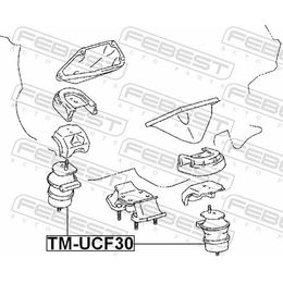 FEBEST Lagerung, Motor tmucf30 vorne f&uuml;r TOYOTA
