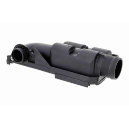VAICO Sekund&auml;rluftfilter v252900 f&uuml;r Peugeot Ford