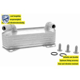 VEMO &Ouml;lk&uuml;hler, Automatikgetriebe v10600042 f&uuml;r VW VAG