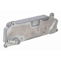 VEMO &Ouml;lk&uuml;hler, Automatikgetriebe v10600102 f&uuml;r CUPRA