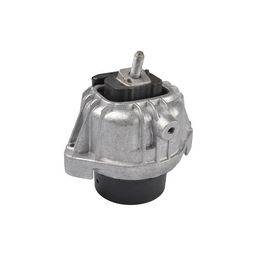 TEDGUM Lagerung, Motor ted60795 links f&uuml;r BMW