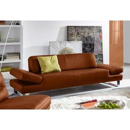 2-Sitzer W.Schillig "taboo Designsofa mit hohem Sitzkomfort, Breite 202cm, Sitztiefe 59cm", braun (cognac z69), B:202cm H:76cm T:91cm, Flachgewebe S22 (100% Polyester);Stoff S37 (100% Polyester): Luxus-Microfaser in Lederoptik;Longlife Xtra-Leder Z59: Glattleder mit modischer Pr&auml;gung. Hautst&auml;rke 0, 9 - 1, 1 mm;Longlife Xtra-Leder Z69: Das feinnarbige, gedeckte Softleder Z69 besticht durch seine au
