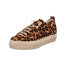 Sneaker Paul Green "Paul Green Sneaker Veloursleder", Damen, Gr. 38, leopard, Veloursleder, Schuhe Sneaker