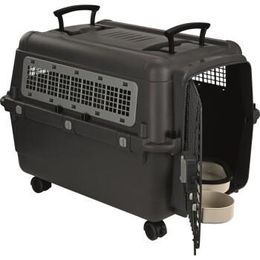AniOne Transportbox M