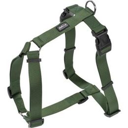 AniOne H-Geschirr Classic Nylon gr&uuml;n XL