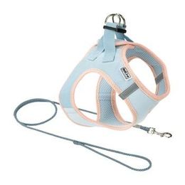 AniOne Pepe&Kitty Welpenset blau XS