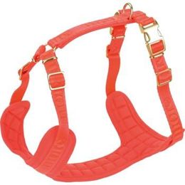 more LIFESTYLEPETS Nylon Geschirr rot M