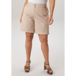 Chinoshorts ANISTON PLUS, Damen, Gr. 54, N-Gr, beige, Web, Obermaterial: 100% Baumwolle, unifarben, bequem kurz, Hosen Chinoshorts, mit Gummizug in der Taille
