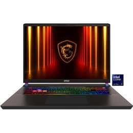 MSI Gaming-Notebook "Vector 17 HX AI A2XWJG-039", cosmos, grau, 32 GB RAM 2.000 GB SSD, Core Ultra 9, Windows 11 Home, Notebooks
