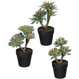 Kunstpflanze Creativ green "Sukkulenten", gr&uuml;n (gr&uuml;n, rosa), H:24cm, Kunststoff, Kunstpflanzen, Kunstpflanze, im 3er Set