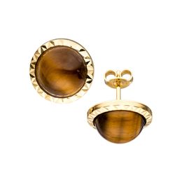Paar Ohrstecker Jobo, gelb (gelbgold 585), Ohrringe, Damen, 12,9mm, Gelbgold 585, rund 585 Gold mit Tigerauge