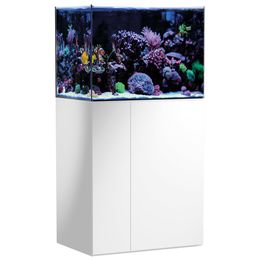 Aqua Medic Armatus 250
