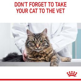 Royal Canin HAIRBALL CARE Katzen-Nassfutter gegen Haarballenbildung 12x85g