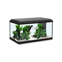 Aquatlantis Aquarium Advance LED 60 Einsteiger-Sets mit Beleuchtung schwarz