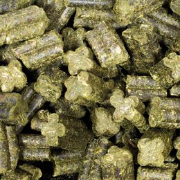 JR FARM Kaninchenfutter Grainless Complete Zwergkaninchen 1,35kg