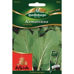 Quedlinburger Komatsuna 'Green Boy'