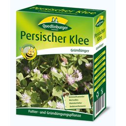 Quedlinburger Persischer Klee Gr&uuml;nd&uuml;nger 500 g