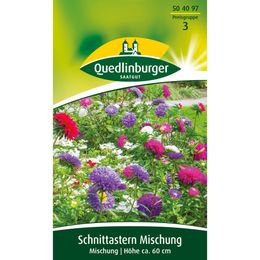 Quedlinburger Schnittastern Mischung
